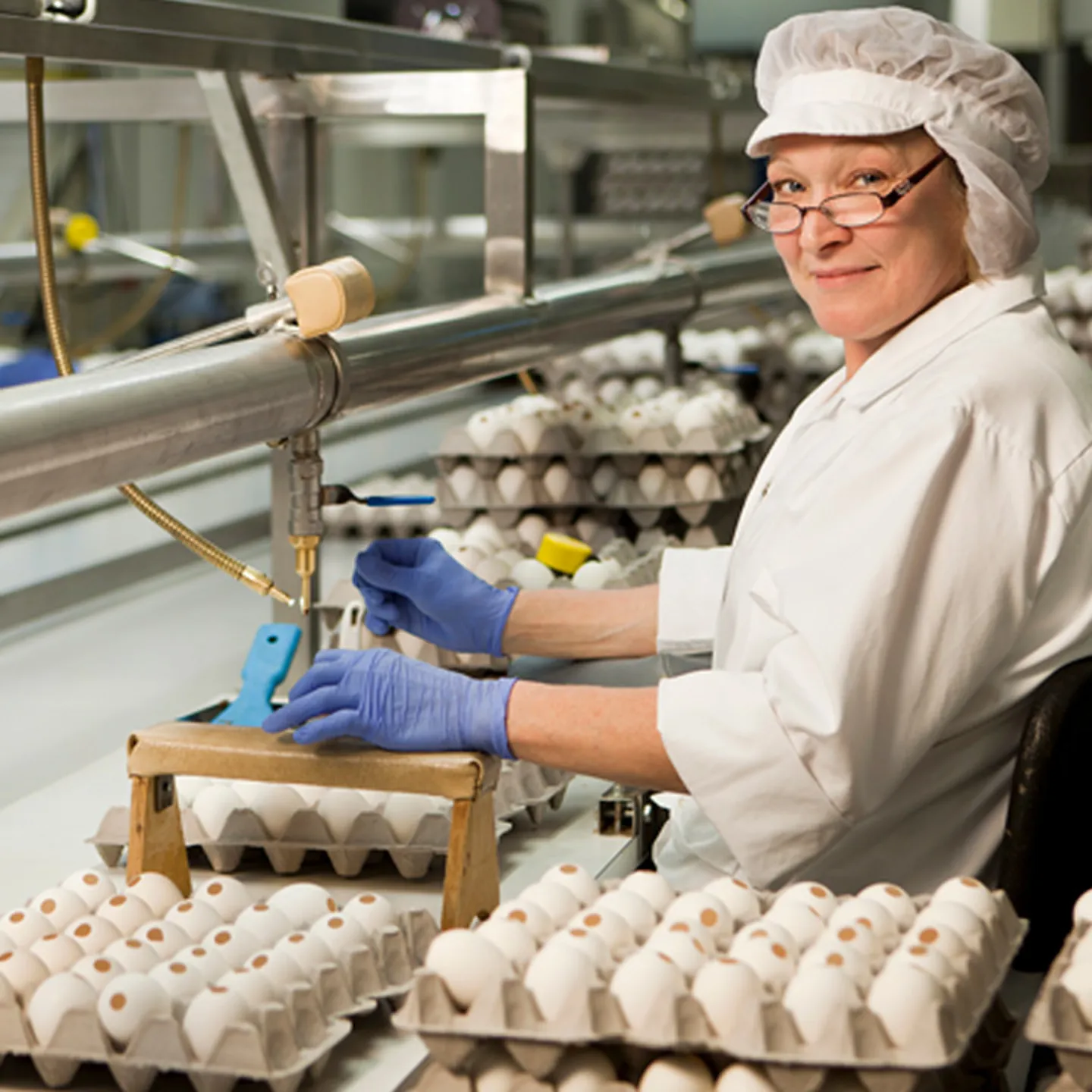 Käsitöö meistriteos – kuidas sünnib Fazeri Mignon-muna?