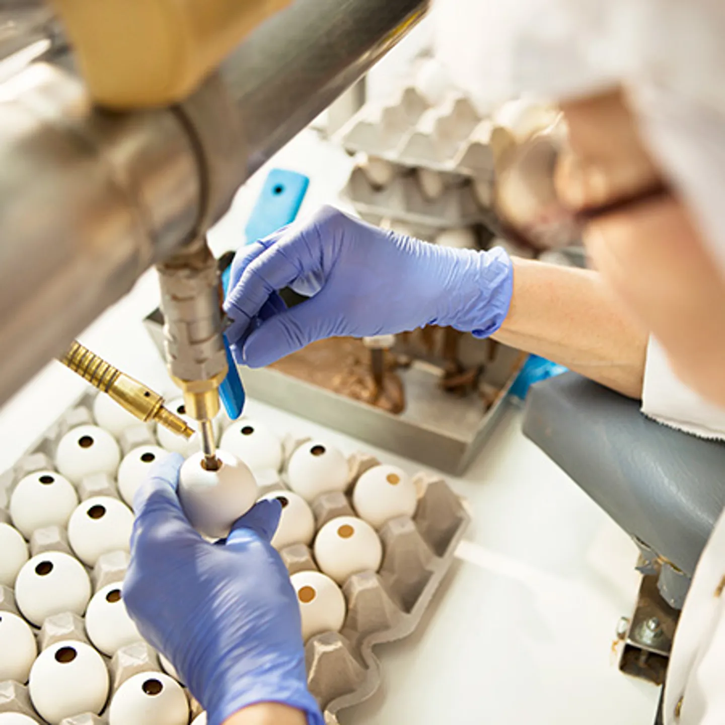 Mignon-muna tehdään käsityönä alusta loppuun - Fazer.fi