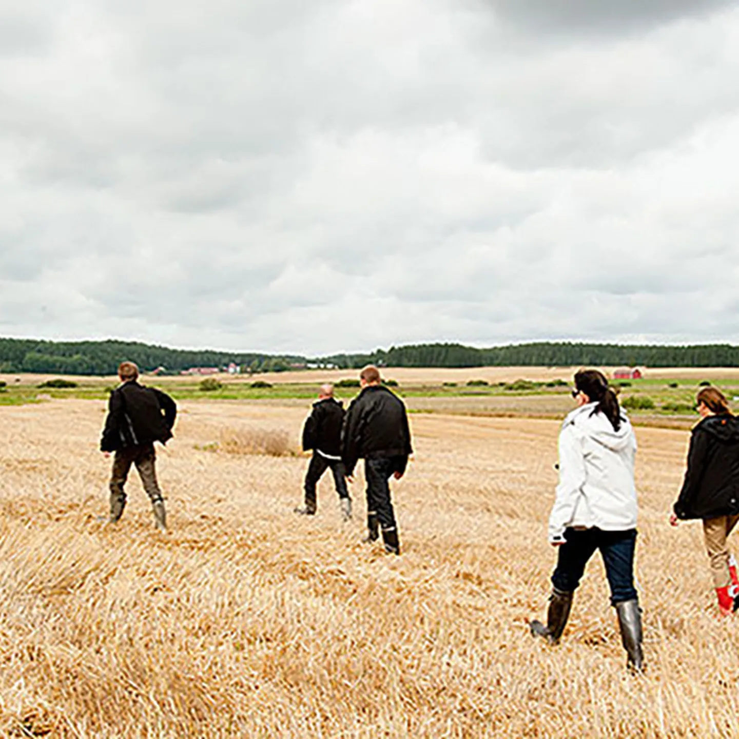 Pro Ruis ry ja suomalaisen rukiin menestystarina - Oululainen.fi